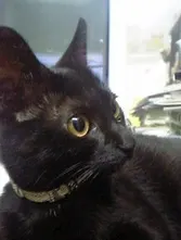 かわいすぎるぅ～！！ | ダマリデザイン室 Damali Design Studio